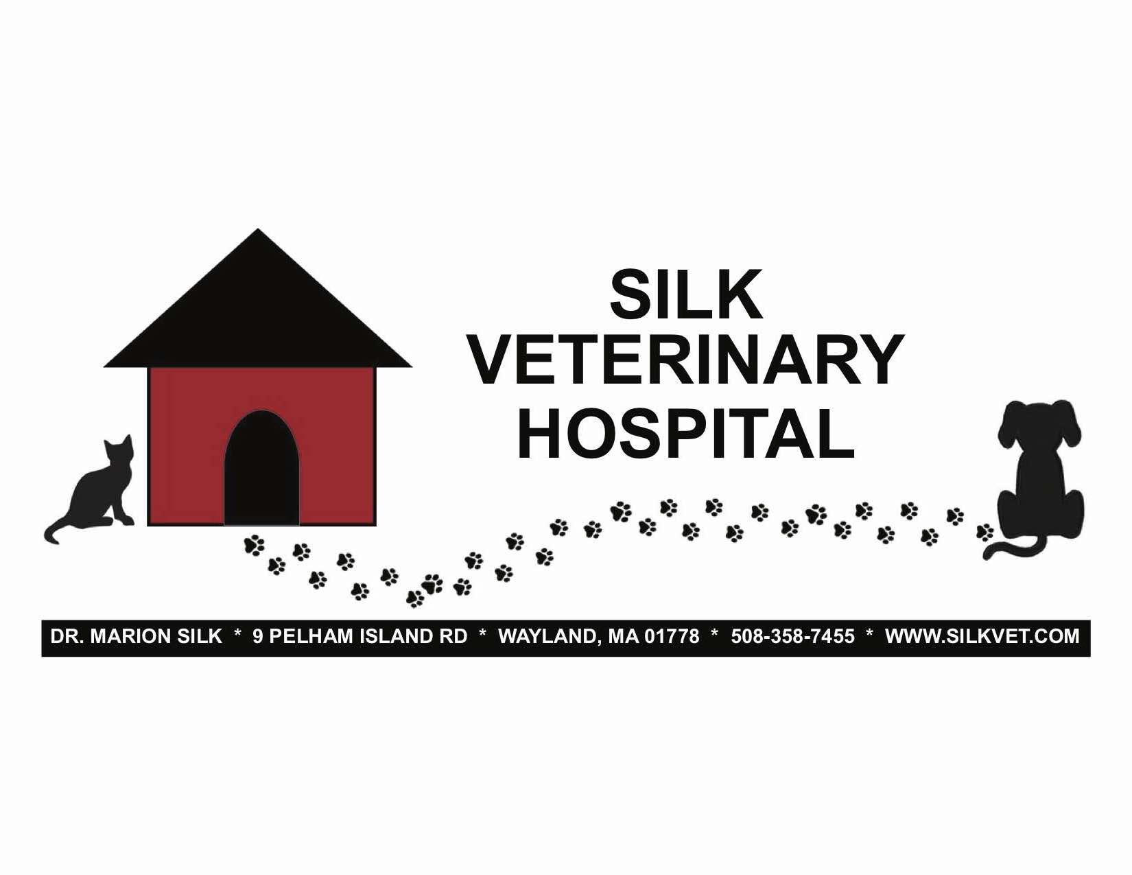 RaceWire | Super D's Run to End DIPG