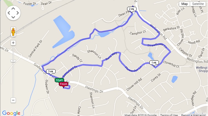 RaceWire | 19th Annual Shamrock Run